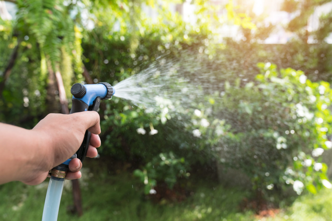 We’re Still Under Stage 2 Watering Rules - San Antonio Water System