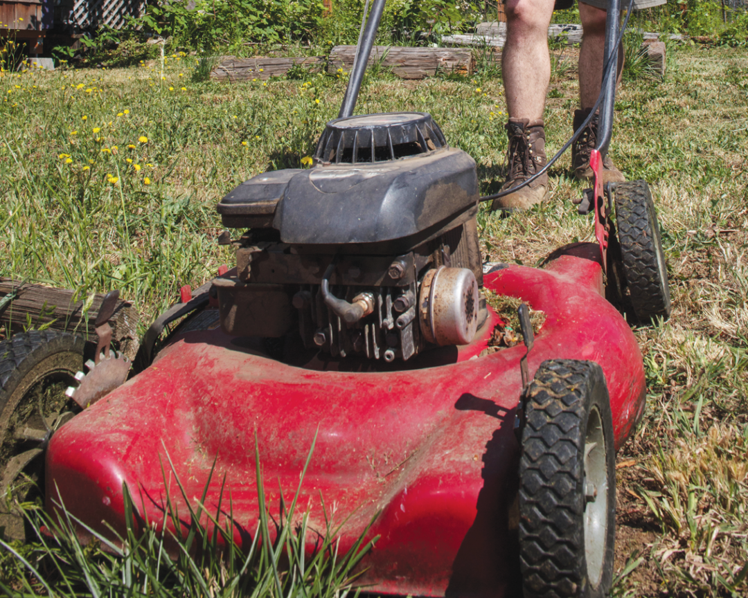 Give up some grass now, Plant by Numbers later - San Antonio Water System